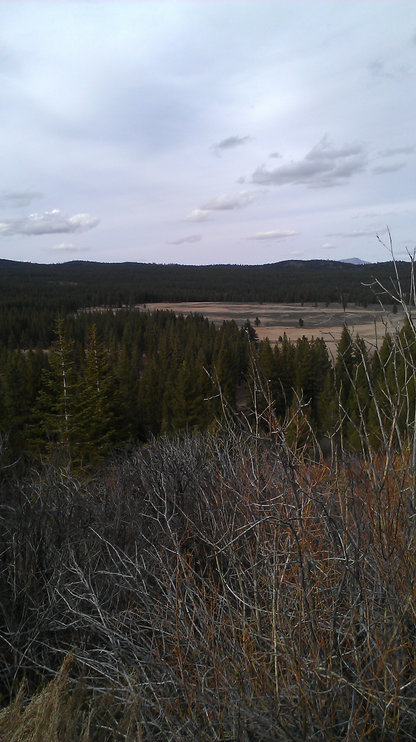 Off Henness Pass Rd above Dog Creek and Dog Valley – Bikepacking ...