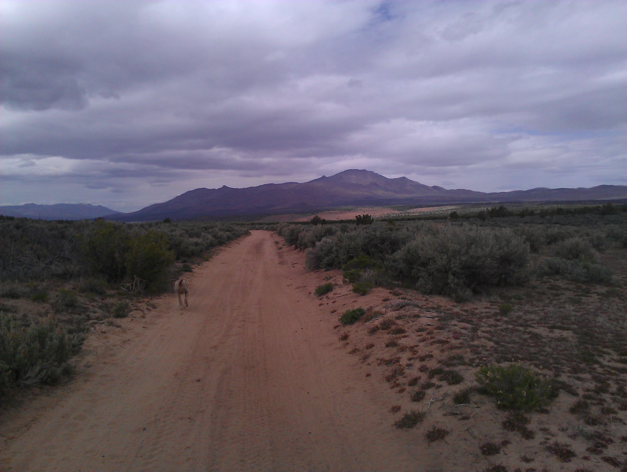 Ride Report: Beyond Bedell Flats, Dry Valley Creek – Bikepacking ...