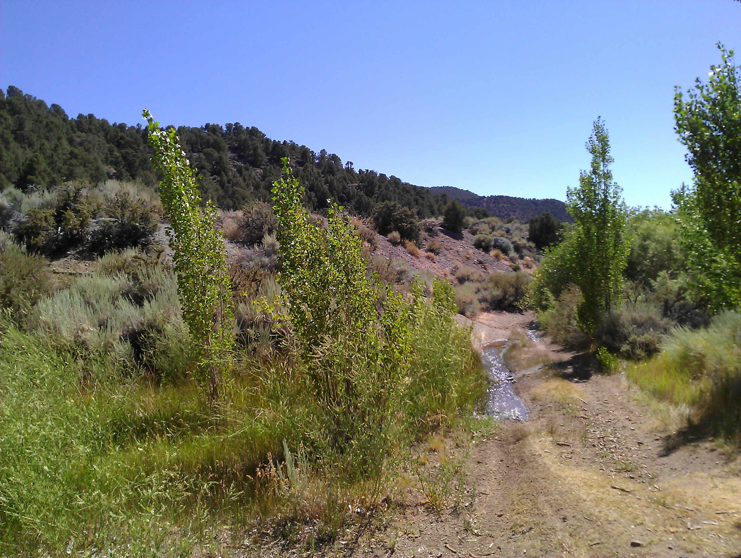 mining road off Como Rd – Bikepacking Northern Nevada