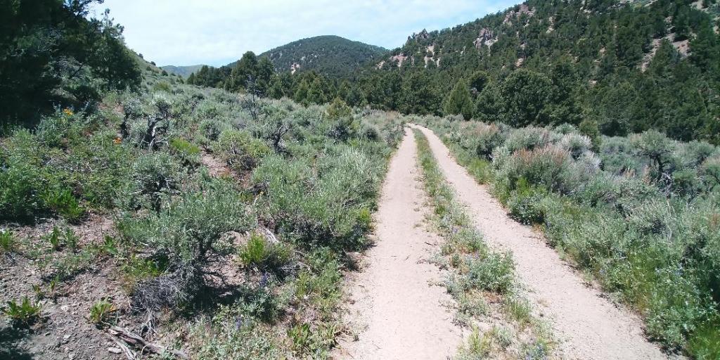 Little Known Shoshone Mountains – Bikepacking Northern Nevada