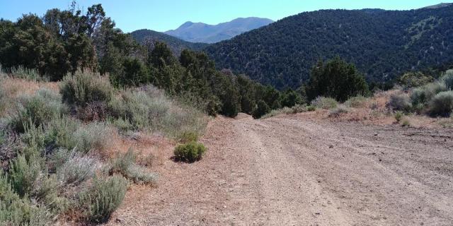 High Roads Project Part 1; Mt Callaghan – Bikepacking Northern Nevada