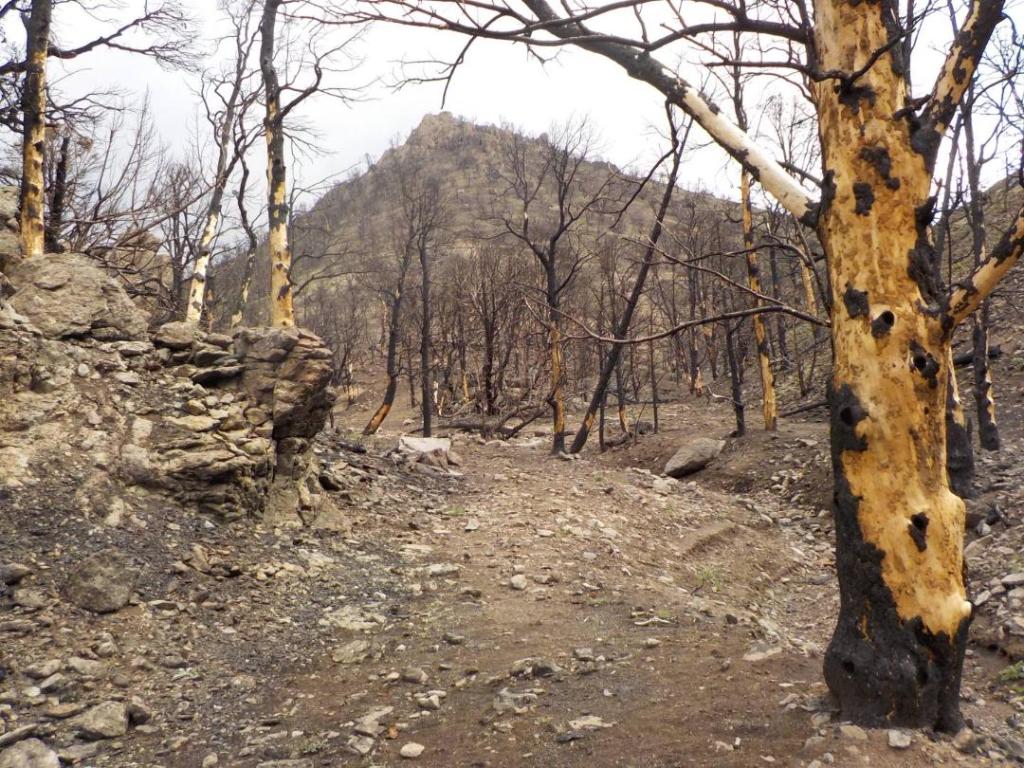 Ride Report; Clan Alpine Mountains – Bikepacking Northern Nevada