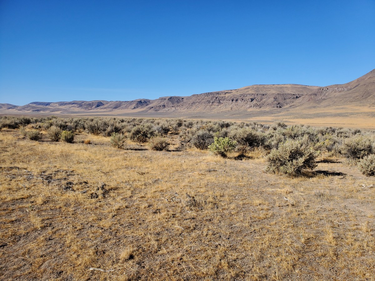 Overnight; Bike Your Park, Dry Valley OHV Area – Bikepacking Northern ...