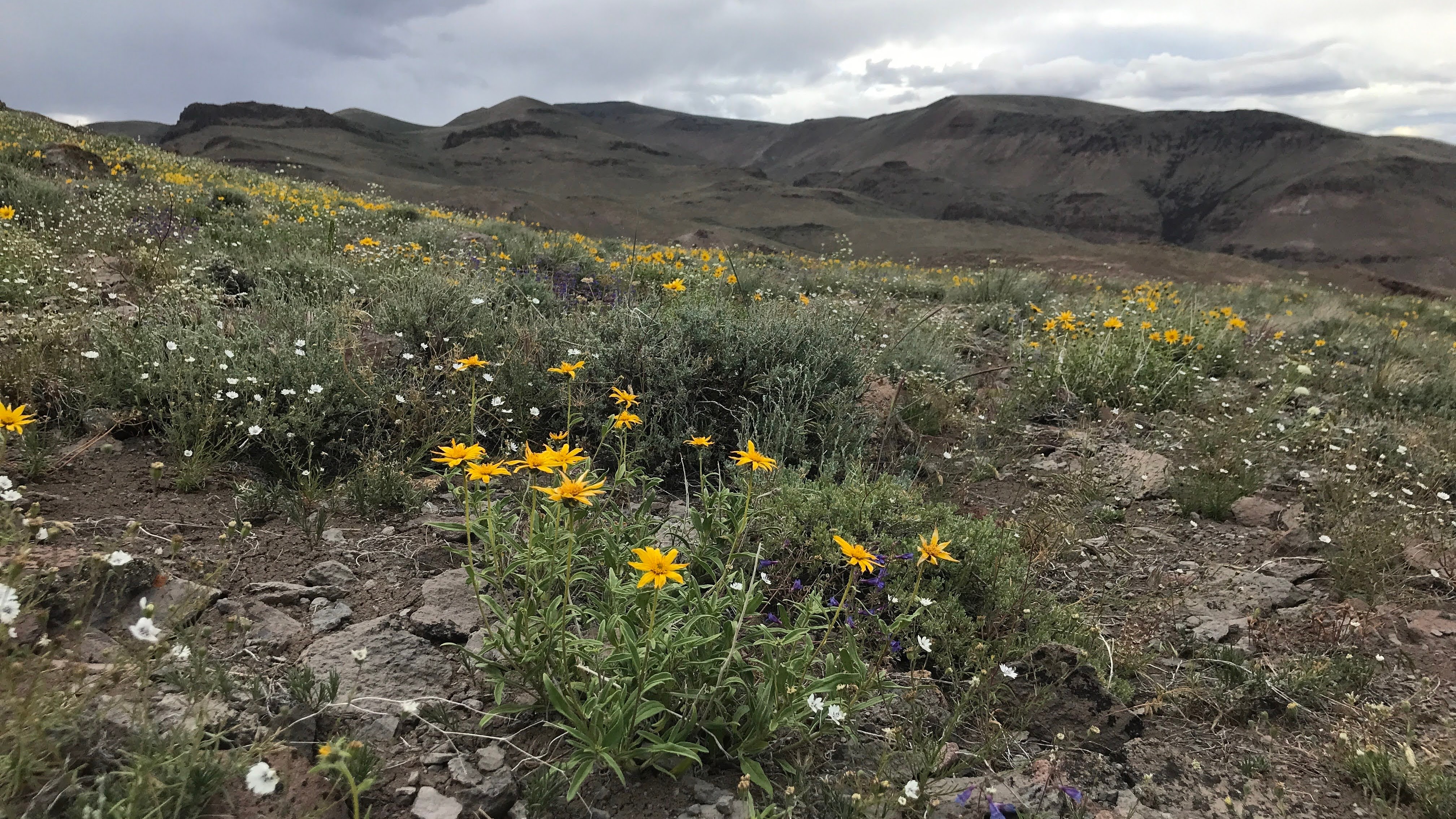Bikepacking Northern Nevada – Exploring Nevada's backroads by bicycle