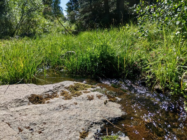 Ride Report: Leviathan Mine Rd. Desert to Alpine – Bikepacking Northern ...